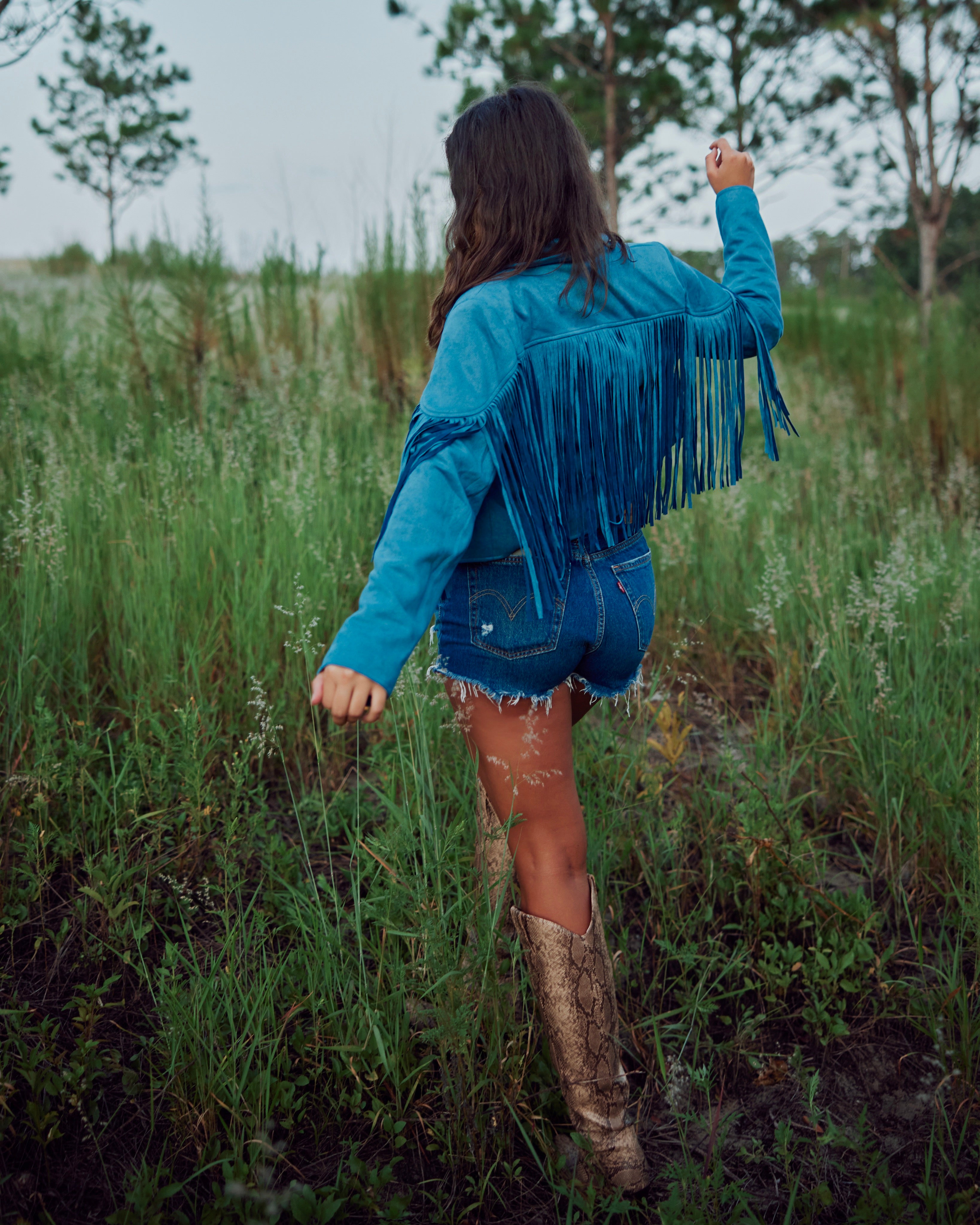 Wild Colt – Wildcolt