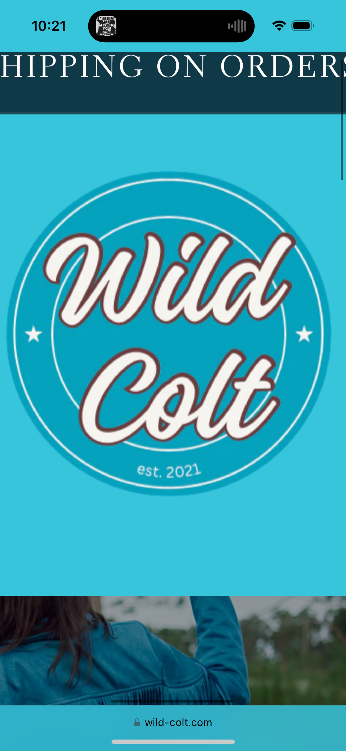 Wild Colt – Wildcolt